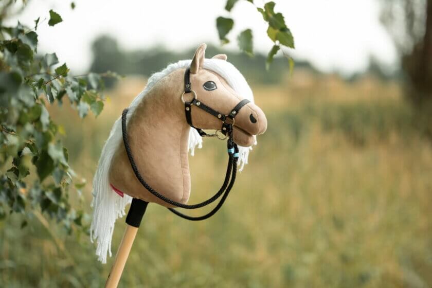 Bewegung, Freude und Fantasie – Dafür steht Hobby Horsing